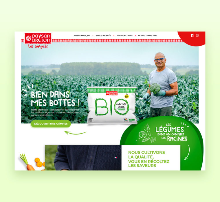 Elise Roy, Directrice Artistique – Portfolio